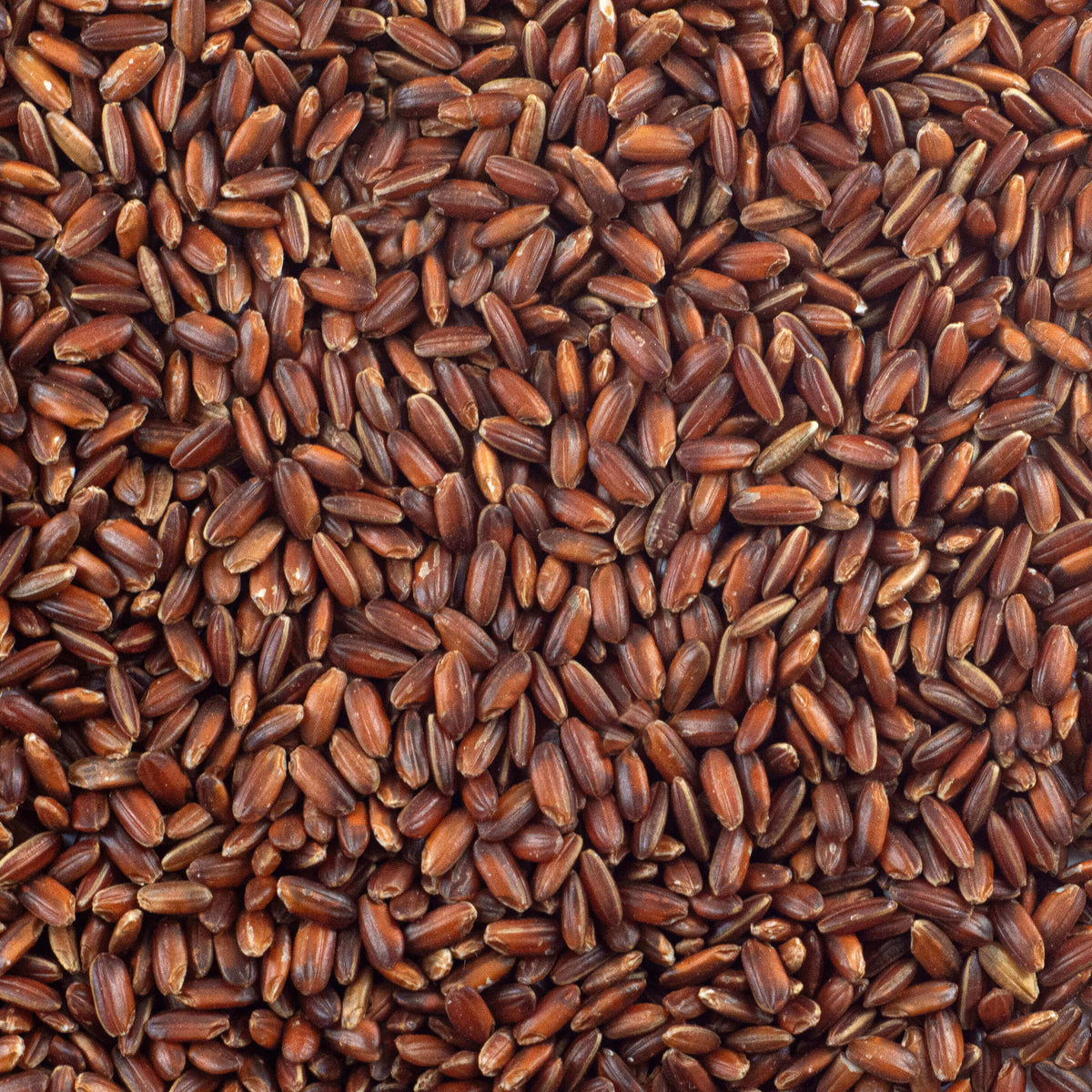 Shatia - Red Rice – amar khamar