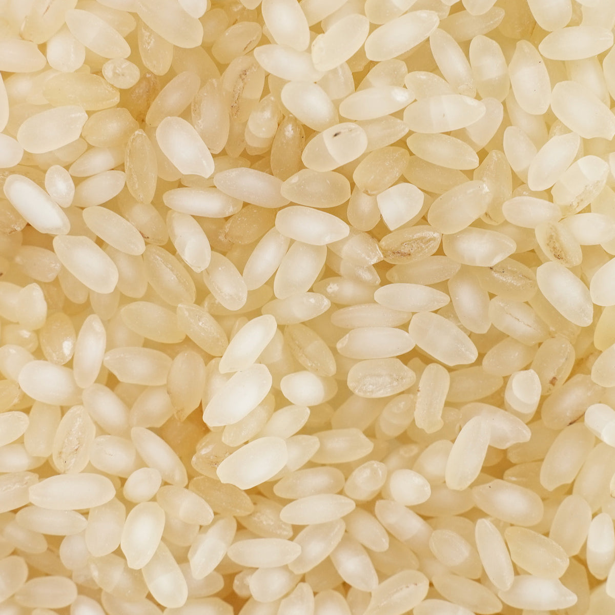 Kerala Sundari Rice – amar khamar